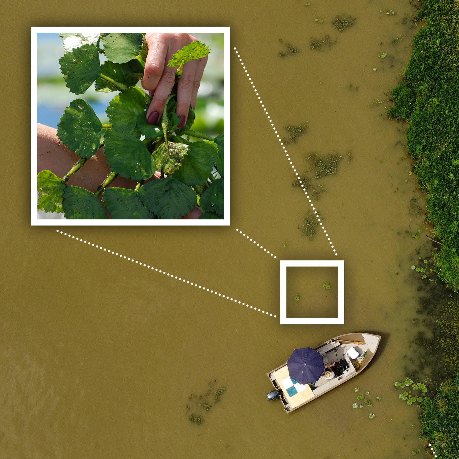 How you clean your boat matters for 20 per cent of the world’s fresh ...